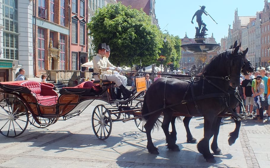 karoca ślubna; bryczka weselna - Somonino - Samochody i inne pojazdy ...